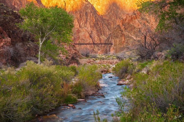 Photographs from the Colorado River in the Grand Canyon | Fine Art ...